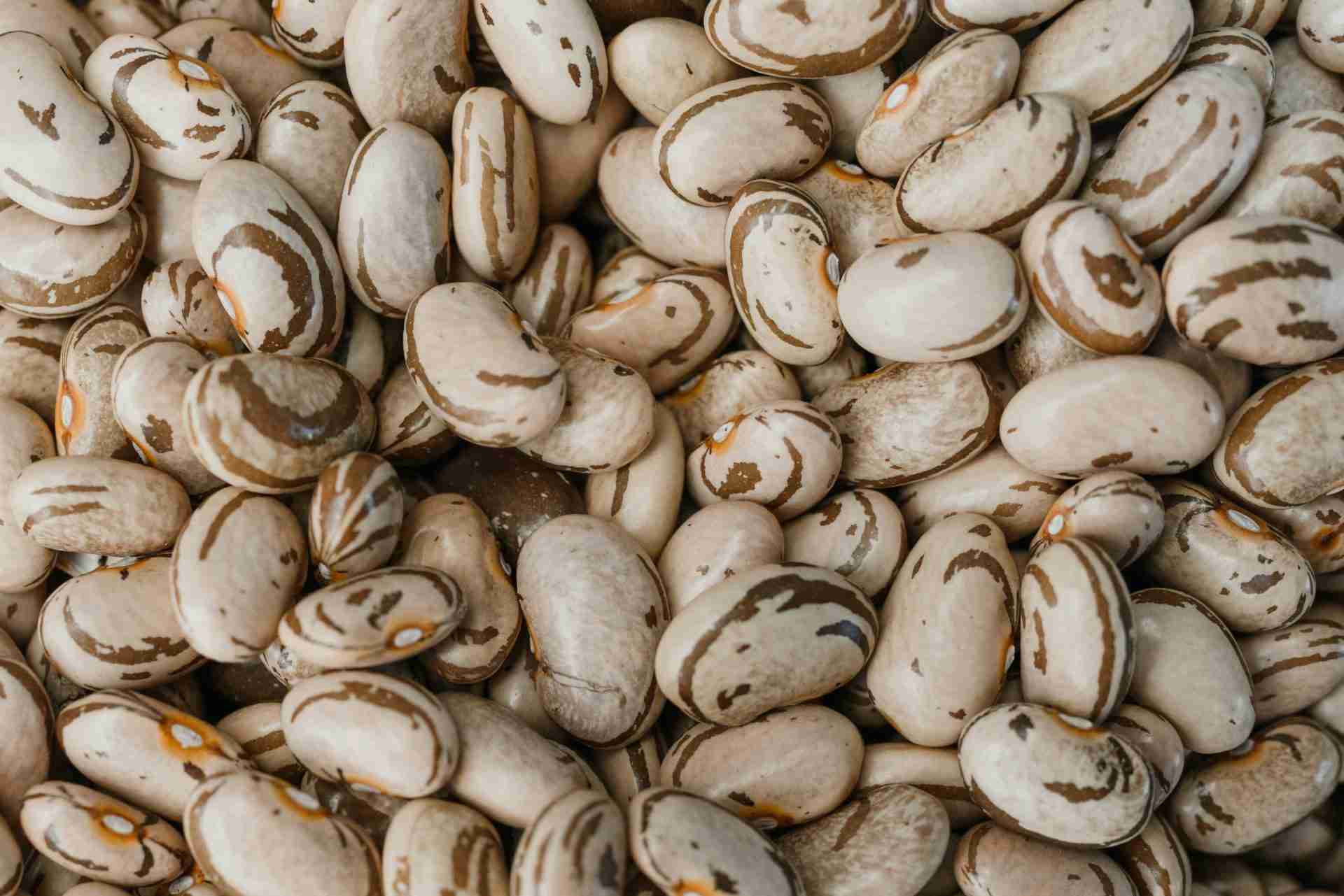 Pintos and Cornbread: A Match Made in Comfort Food Heaven
